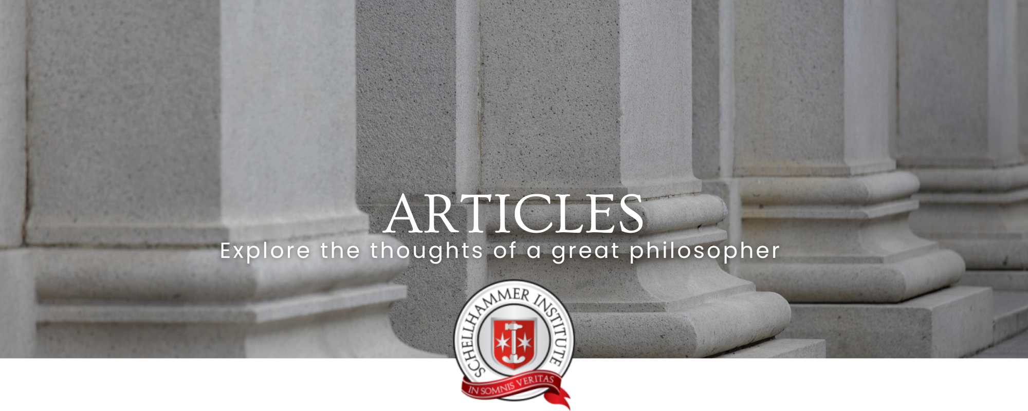 ARTICLES | Schellhammer Institute