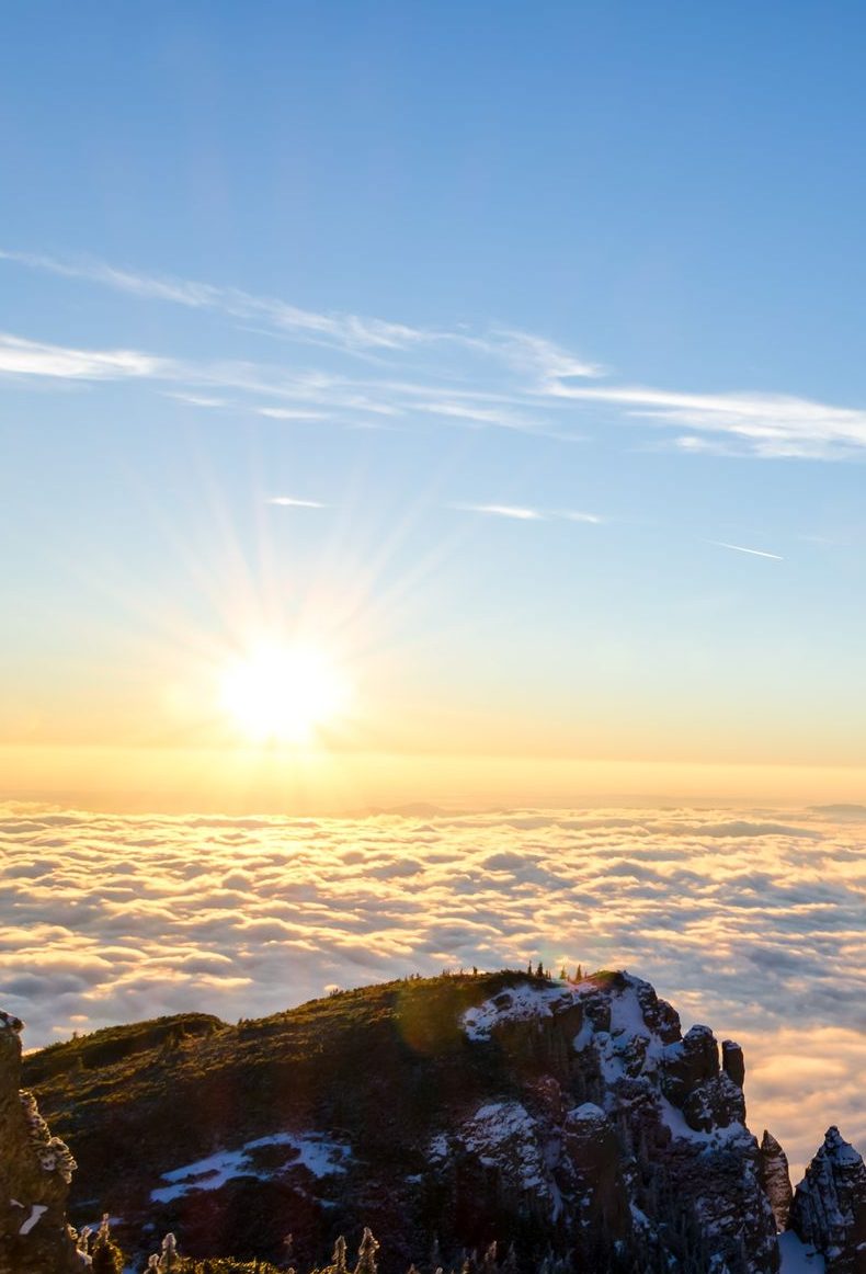 Inner Renewal | Schellhammer Institute